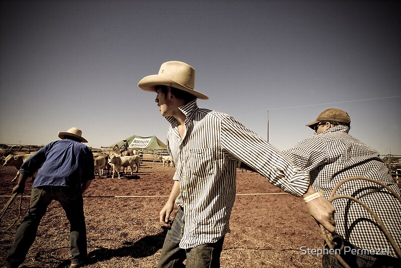 "Anticipation - Marla, South Australia" by Stephen Permezel | Redbubble