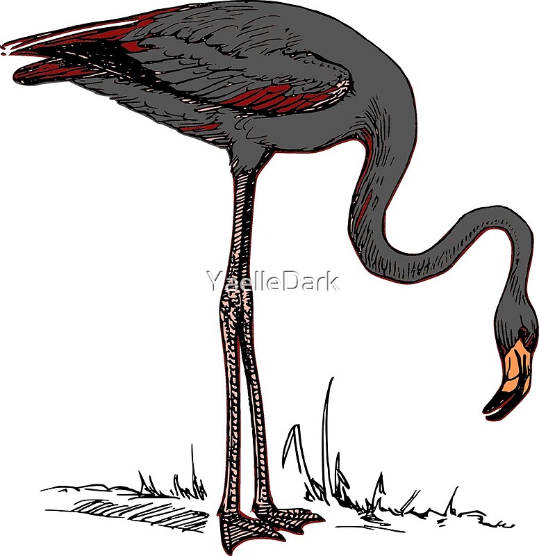 "Scary Flamingo" by YaelleDark | Redbubble