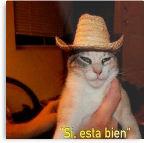 "Si Esta Bien Cat" Metal Prints by Sanghelios | Redbubble