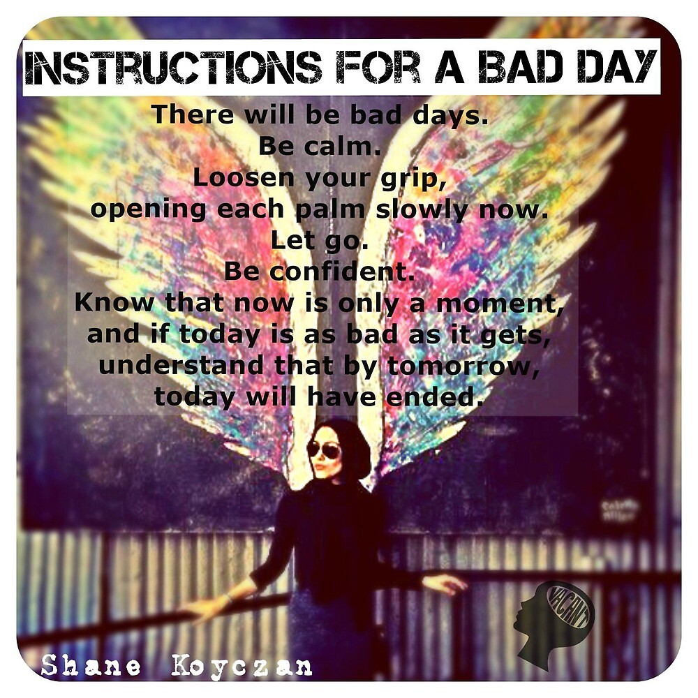 "Instructions for a Bad Day" by nandosrox | Redbubble