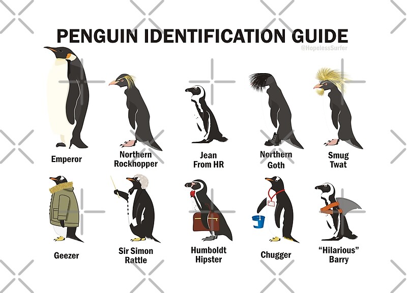 "Penguin Identification Guide" by HopelessSurfer | Redbubble