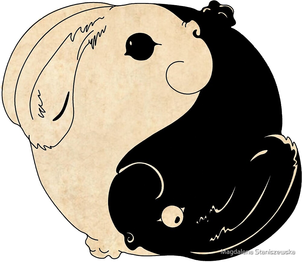 "Chinese Zodiac Yin and Yang Rabbit" by Magdalena Staniszewska | Redbubble