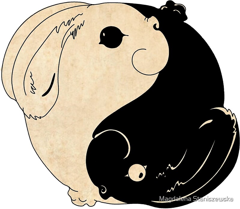 "Chinese Zodiac Yin and Yang Rabbit" by Magdalena Staniszewska | Redbubble
