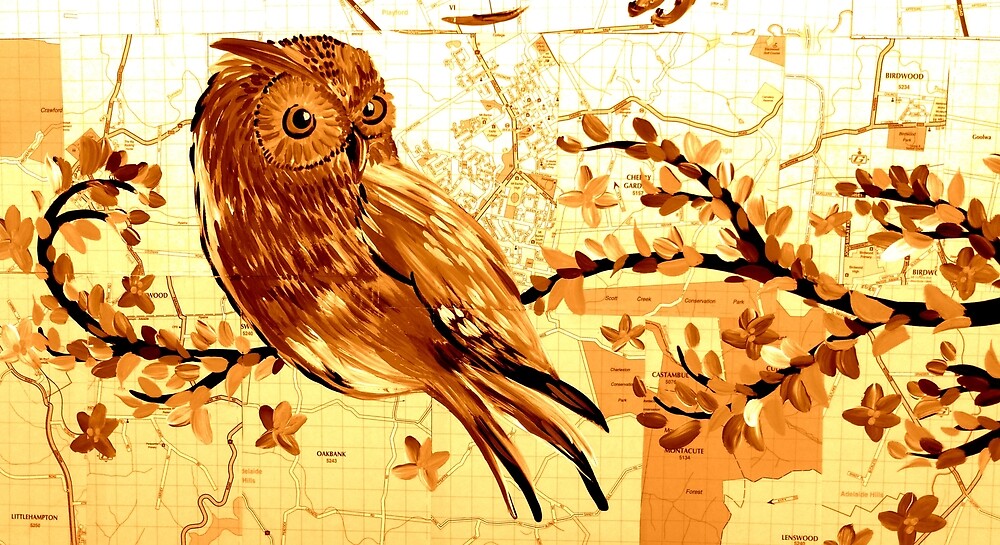 "Owl and Maps" by CateJacobs | Redbubble