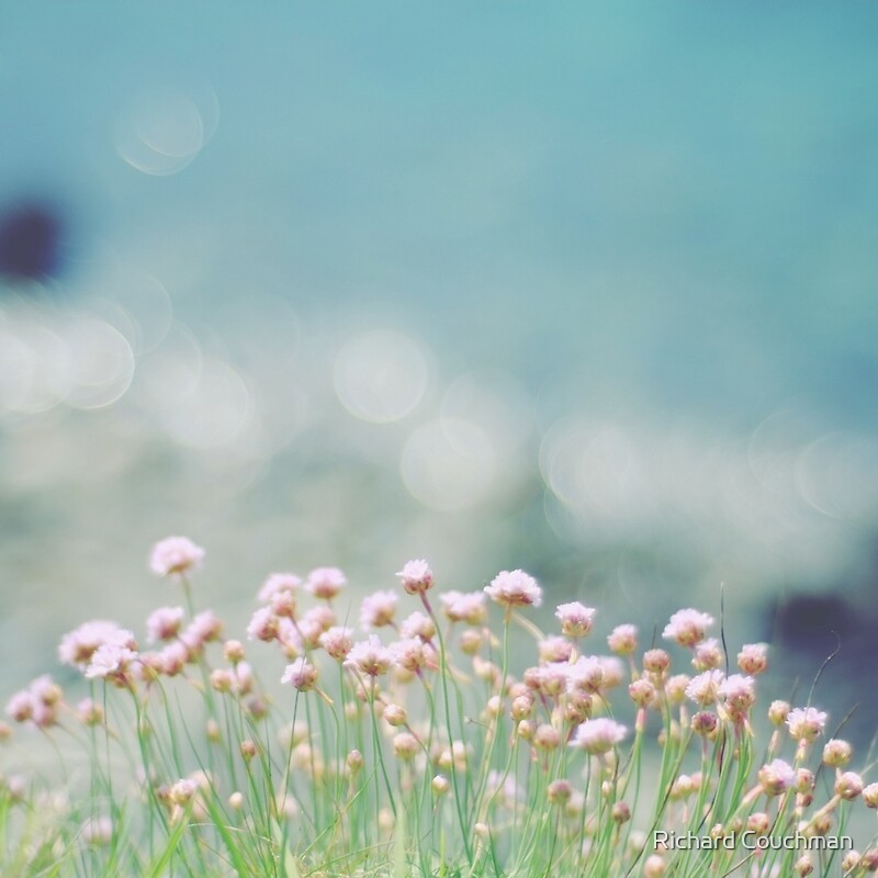 "" Pastel Coast Impression " " by Richard Couchman | Redbubble