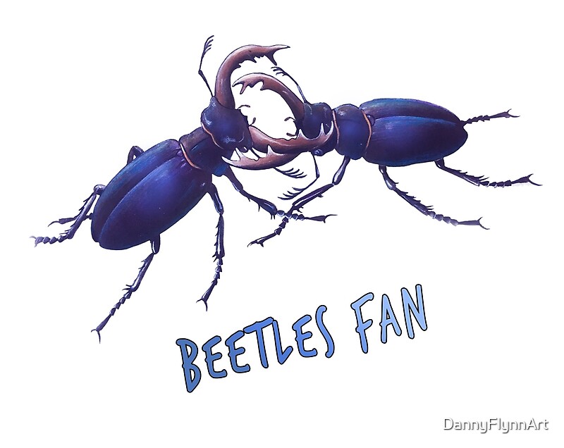 "Beetles Fan" by DannyFlynnArt | Redbubble
