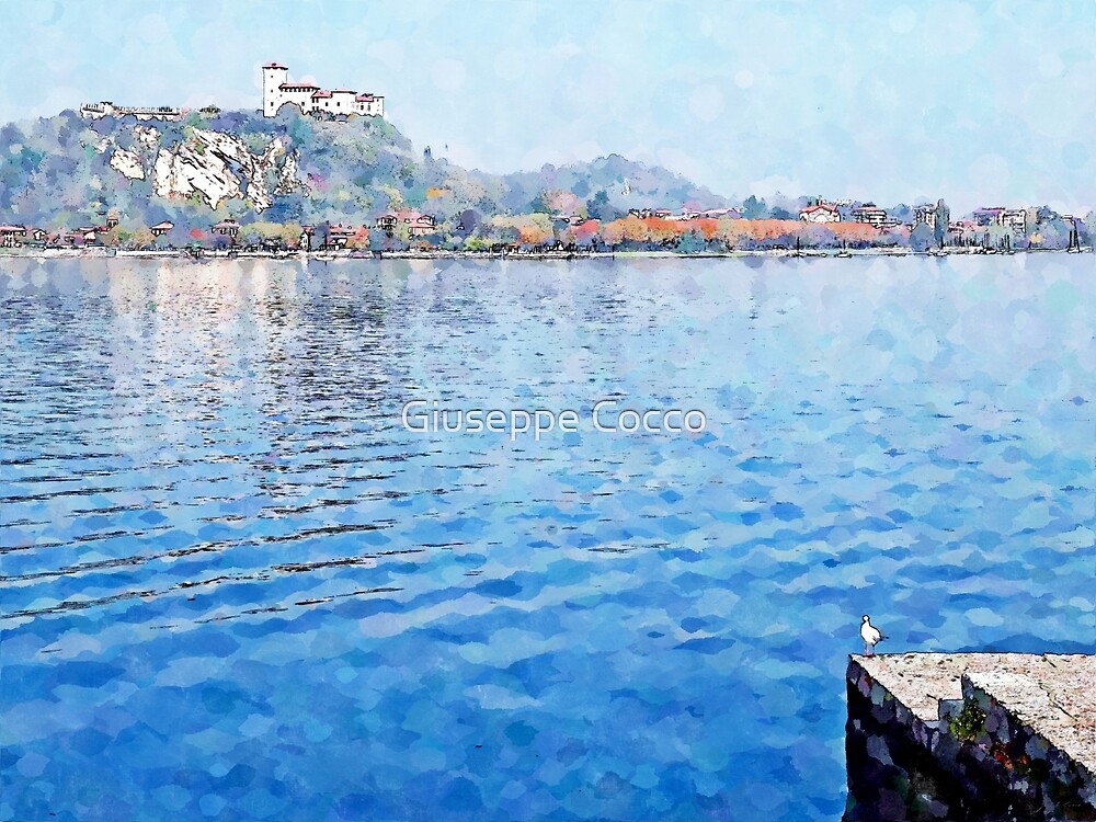 "Arona: pigeon on the wall by the lake" by Giuseppe Cocco | Redbubble