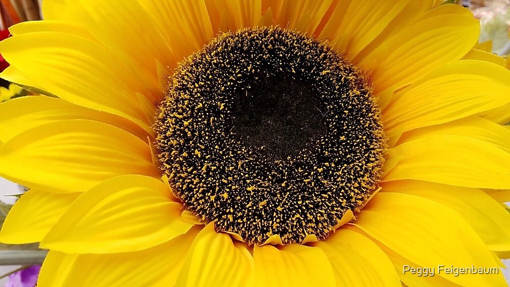 "Sunflowers" by Peggy Feigenbaum | Redbubble