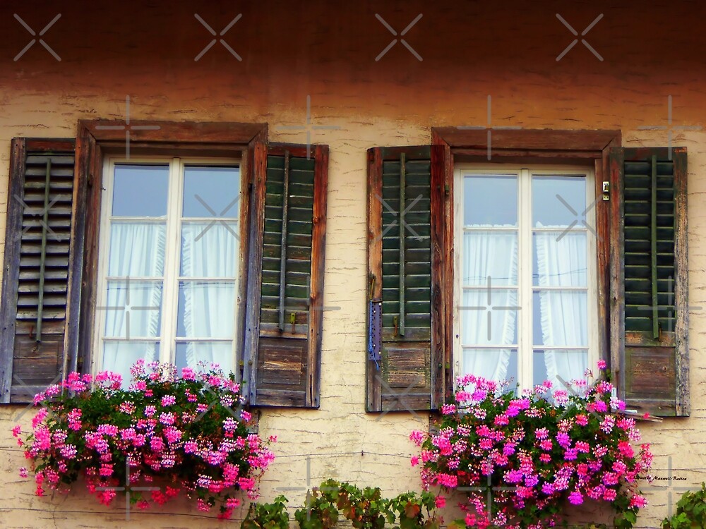 "Rustic Swiss Window" by Vaengi | Redbubble