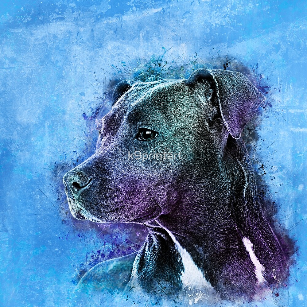 "American Staffordshire Terrier - Amstaff" by k9printart | Redbubble