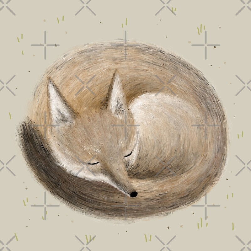 "Swift Fox Sleeping" by Sophie Corrigan | Redbubble