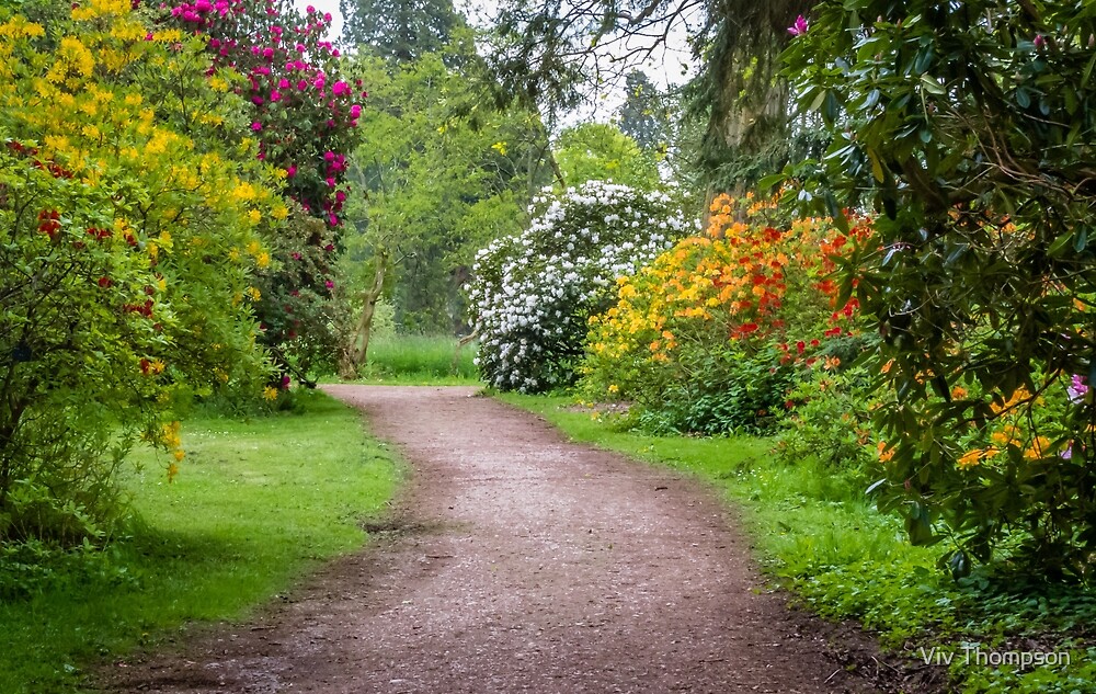 "Spring Pathway" by Viv Thompson | Redbubble