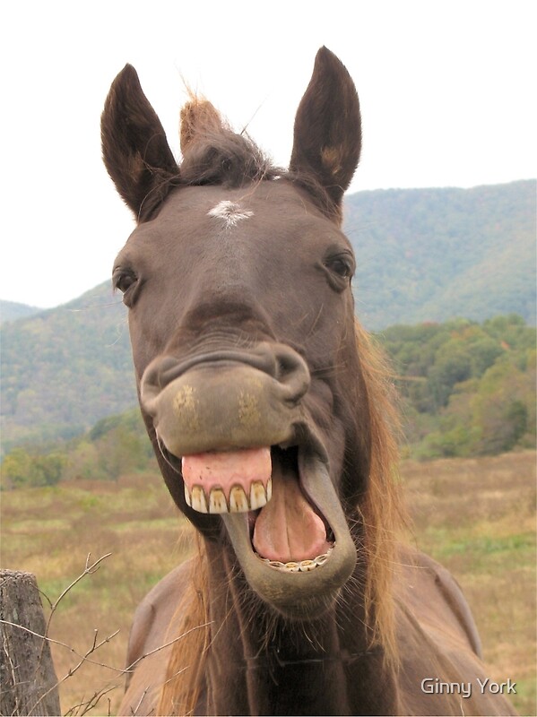 "Hehehehehe That Was A Good One Ginny!" by Ginny York | Redbubble