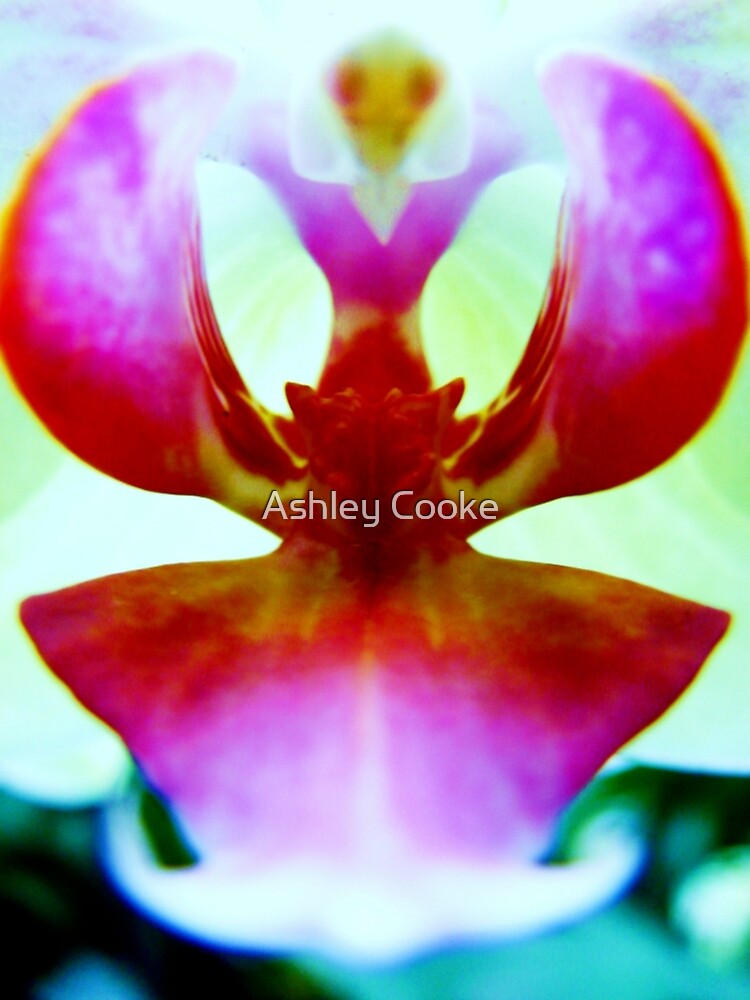 "Haute Couture - Orchid Alien Discovery" by Ashley Cooke | Redbubble