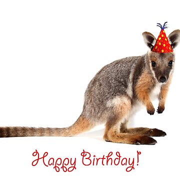 Joyeux Anniversaire Kangourou