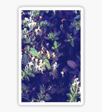 Wildflower: Stickers | Redbubble