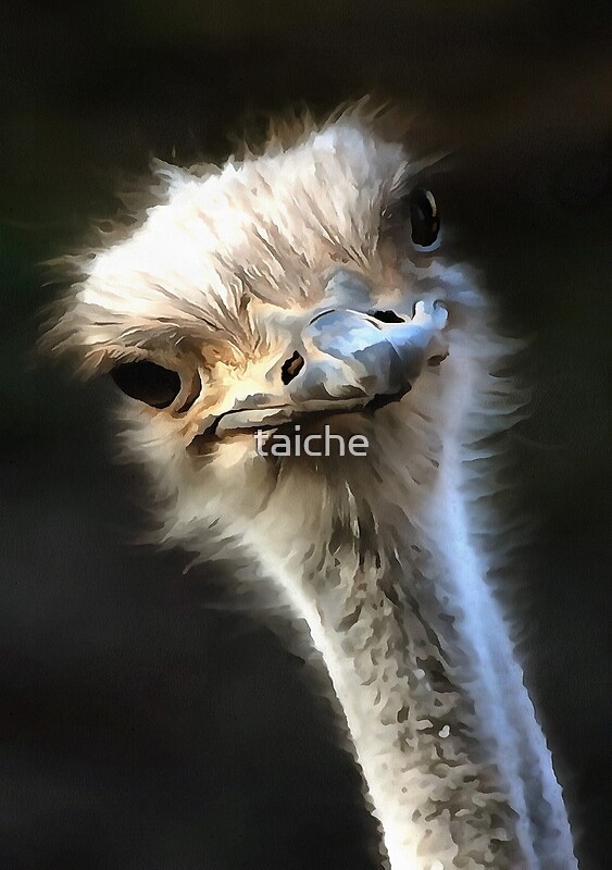"Artistic Ostrich Face With Goofy Expression" by taiche | Redbubble