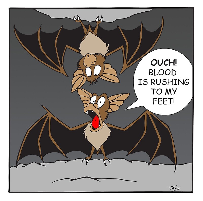 "Bat Cartoon" by wickedcartoons | Redbubble