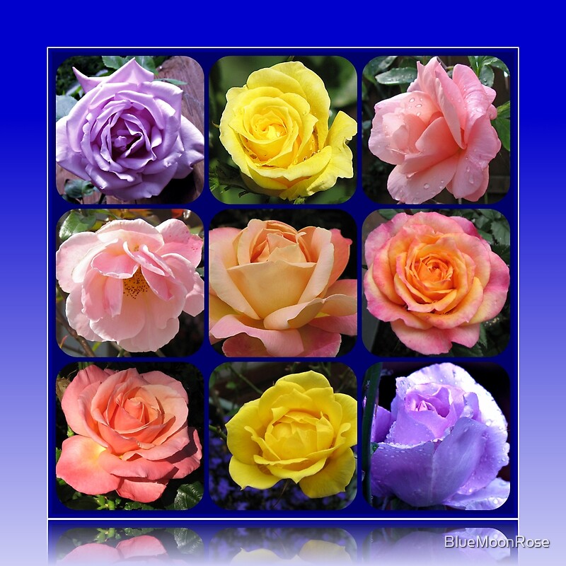 "Nine Roses Collage" by BlueMoonRose | Redbubble