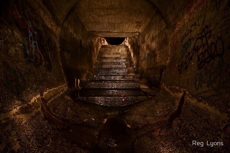 "The Great Stairway" by Reg Lyons | Redbubble