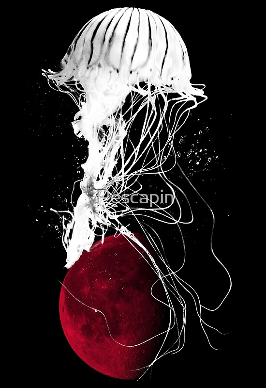 "Medusa Moon" by Pescapin | Redbubble
