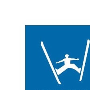 "Windham Ski" Sticker for Sale by Mia121102 | Redbubble