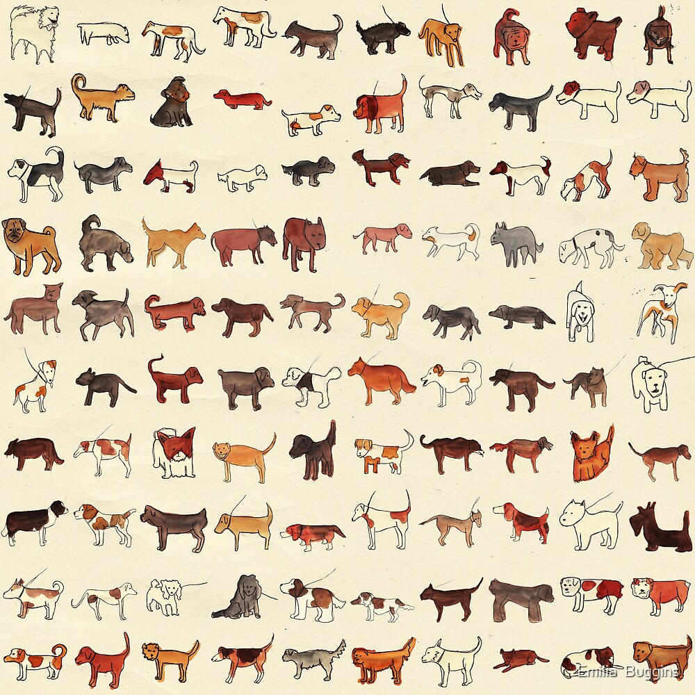 "100 Dogs" by Emilia Buggins | Redbubble