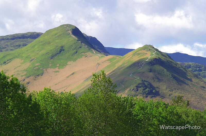 "Catbells" by WatscapePhoto | Redbubble