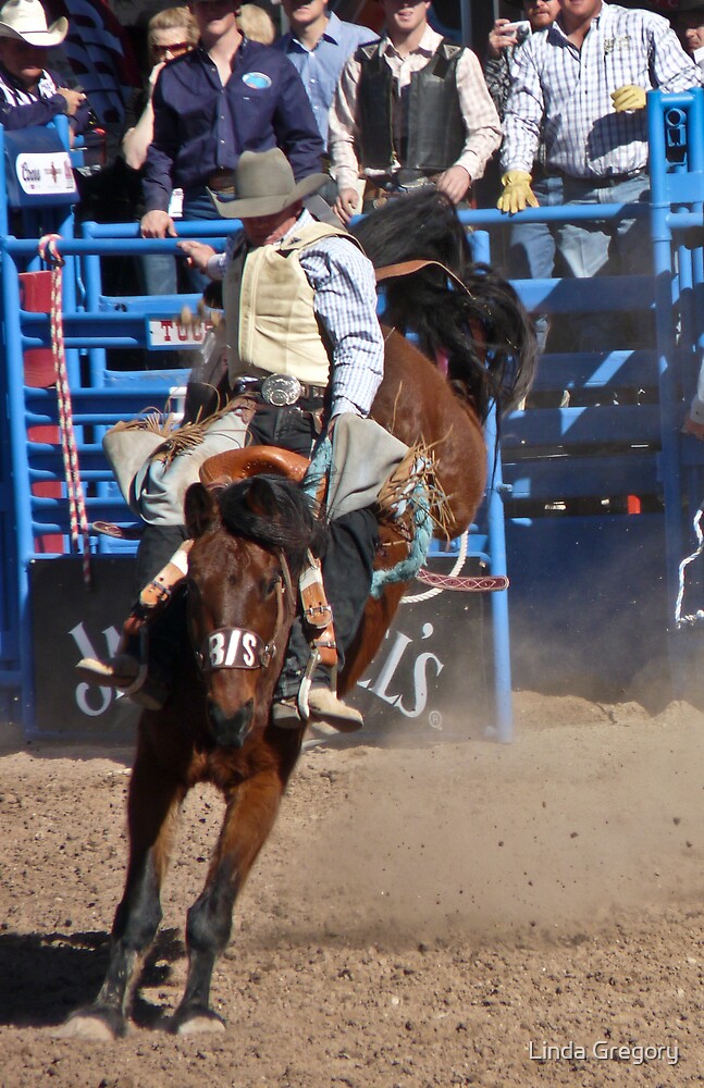 "Saddle Bronc Rider" by Linda Gregory | Redbubble