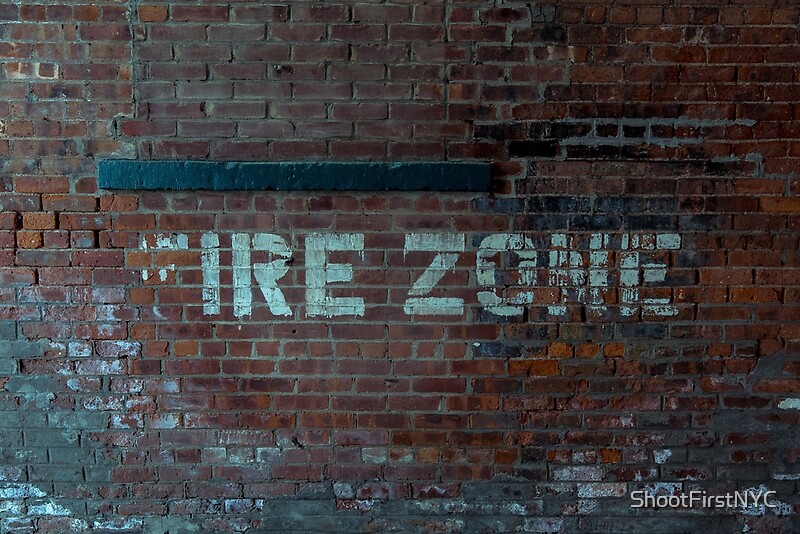 "The (F) Ire Zone" by ShootFirstNYC | Redbubble