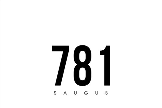"Saugus, MA - 781 Area Code design" Canvas Prints by CartoCreative ...