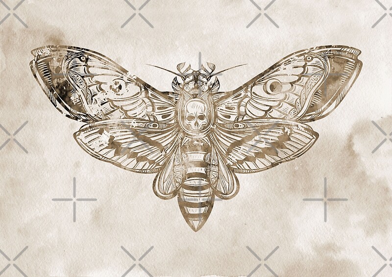 "Death's head, Moth poster" by erzebetth | Redbubble