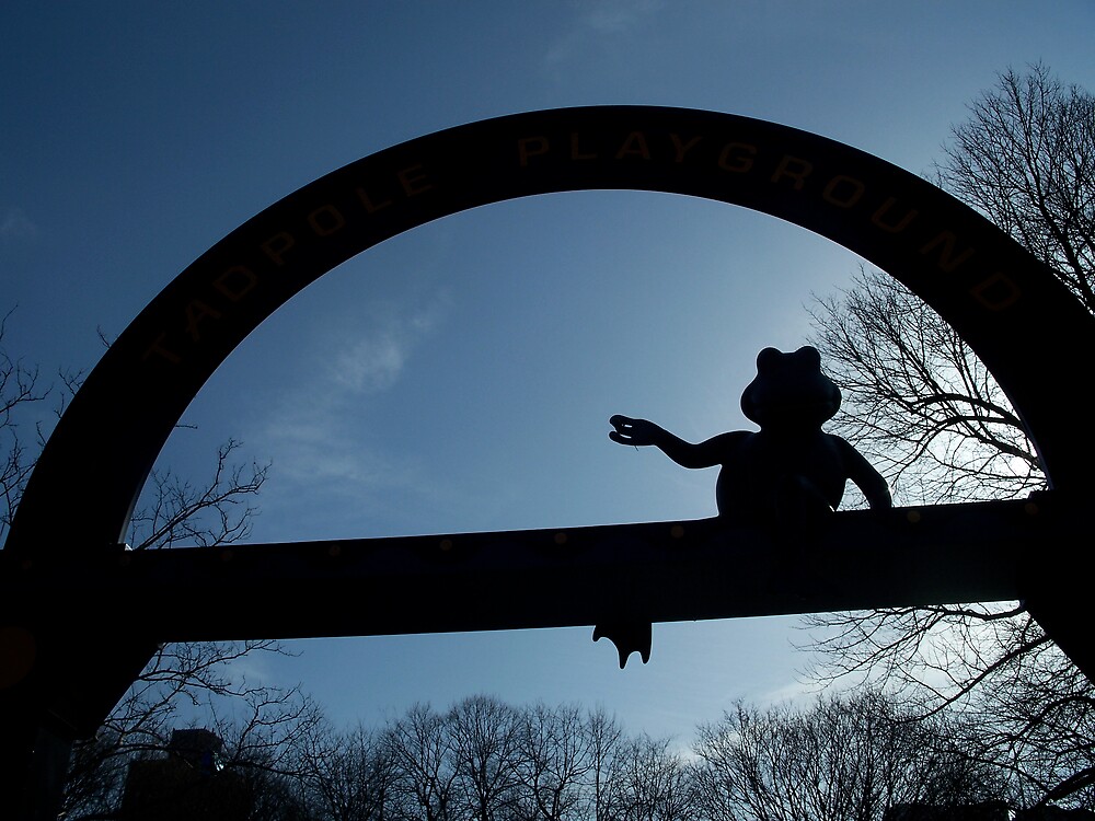 "Frog Pond Playground, Boston Common" by Robert Steadman | Redbubble