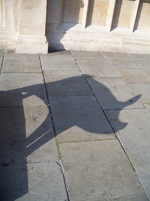 "Pig Shadow" by Robert Steadman | Redbubble