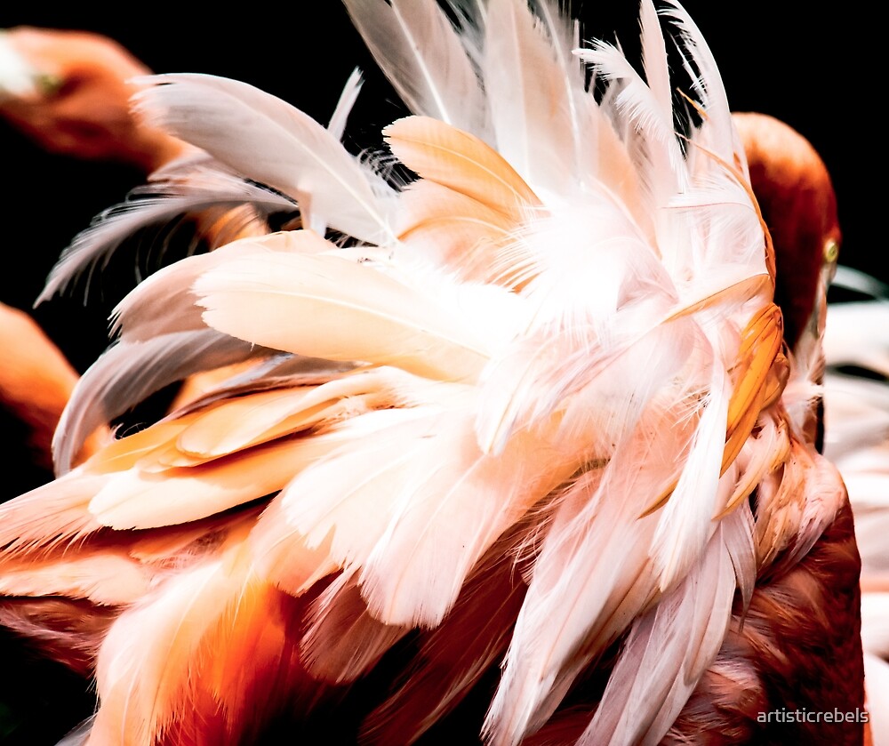 "Shake Your Tail Feathers" by artisticrebels | Redbubble