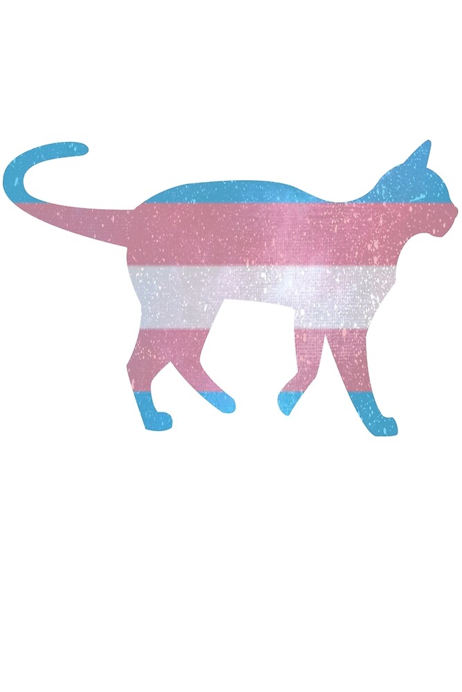 "Trans pride cat" by kittykarnstein | Redbubble