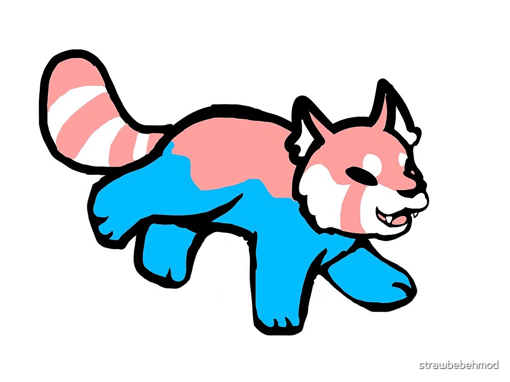 "Trans red panda" by strawbebehmod | Redbubble
