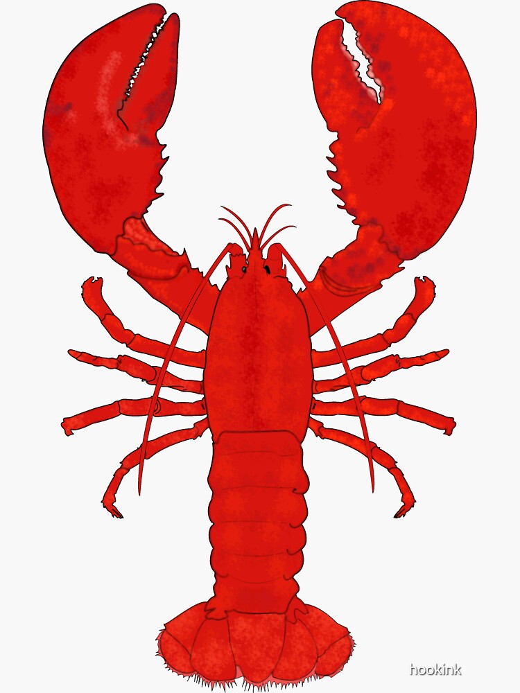 "Lobster" Sticker by hookink | Redbubble