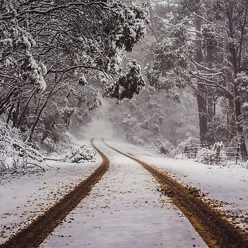 "Follow your tracks back home" Greeting Card for Sale by Candice O ...
