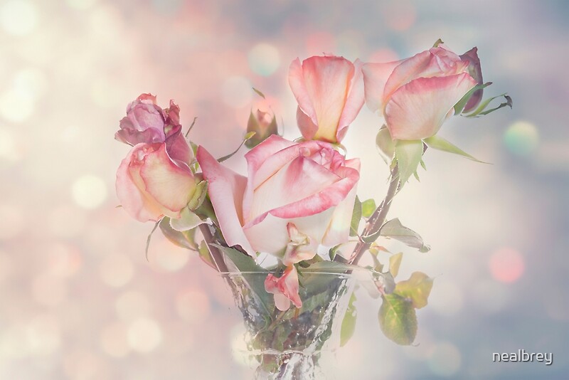 "Sparkling roses" by nealbrey | Redbubble