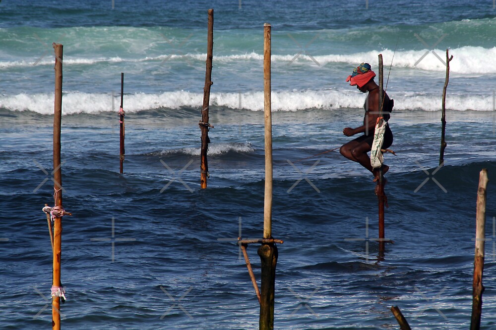 "Stick Fisherman, Sri Lanka" by Keith Molloy | Redbubble