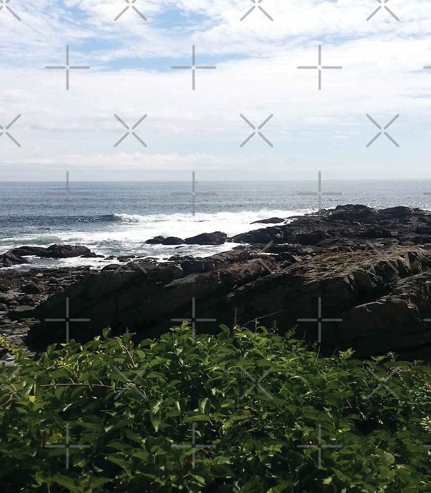 "Marginal Way 7 " by LolaLeoArt | Redbubble