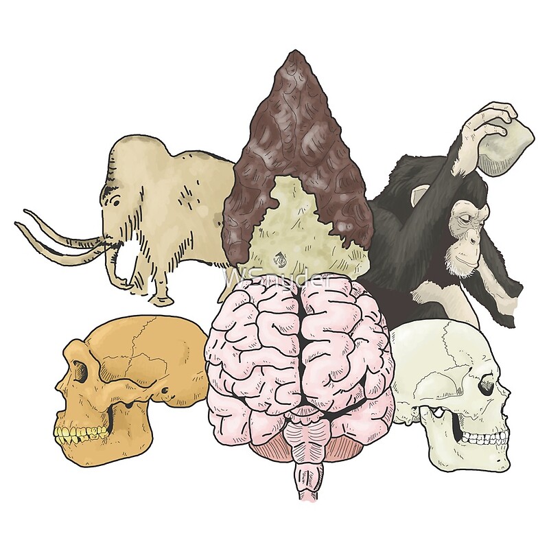 "Evolution of human cognition" by William Snyder | Redbubble