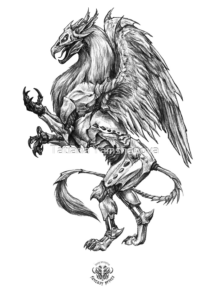 "Armored Dark Side Griffin on transparent background | Graphite pencil ...
