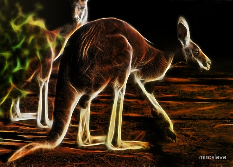 "Red 'roo'" by miroslava | Redbubble
