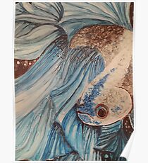 Betta Fish Posters | Redbubble