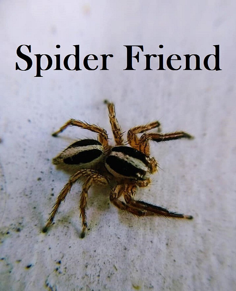 "Be A Spider's Friend" by SylviaSpider | Redbubble