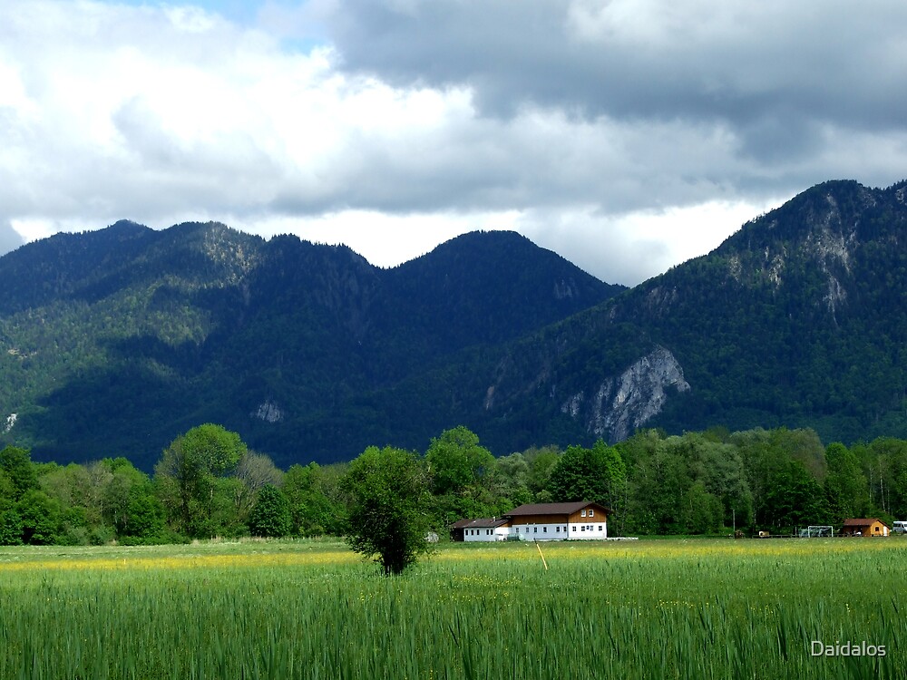 "German Countryside I" by Daidalos | Redbubble