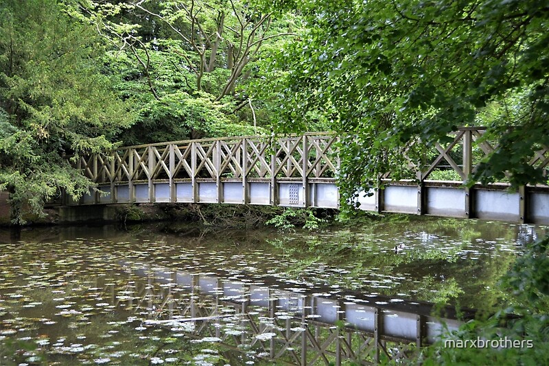 "lily pad bridge " by marxbrothers | Redbubble