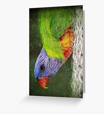Picasso: Greeting Cards | Redbubble